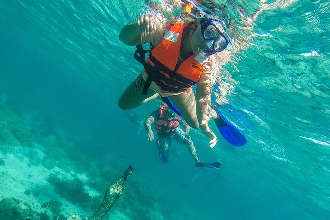 Isla Mujeres Snorkeling Tour Adventure - Itinerary Breakdown: What to Expect