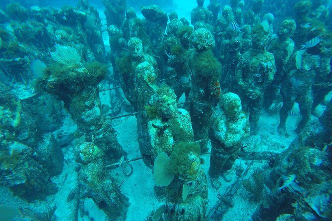 Isla Mujeres Snorkeling Tour Adventure - Who Will Love This Tour?