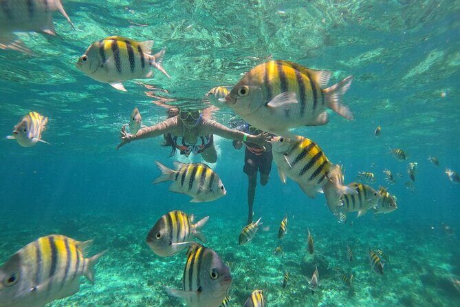 Isla Mujeres Yacht Tour Cancun - The Sum Up