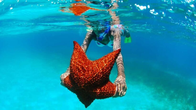 isla saona día completo - Overview of the Tour Experience