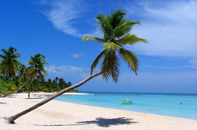 Isla Saona El Paraiso del Caribe - The Value Proposition