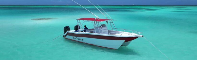 Isla Saona Private Catamaran Cruise (All Inclusive) - A Closer Look at the Experience