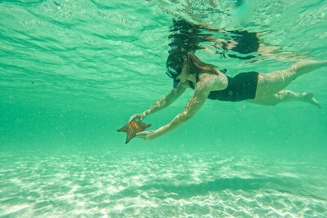 Isla Saona Private Yacht  Luxury Full-Day Tour - Who Is This Tour Best For?