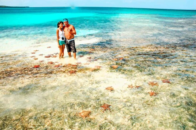 Isla Saona Speedboat Tour - Lunch, Wildlife & Natural Pools - An In-Depth Look at the Isla Saona Speedboat Tour