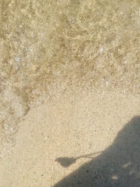 Isla Tierra Bomba beach club: Day Pass with typical food - How the Day Starts: Seamless Transport and Arrival