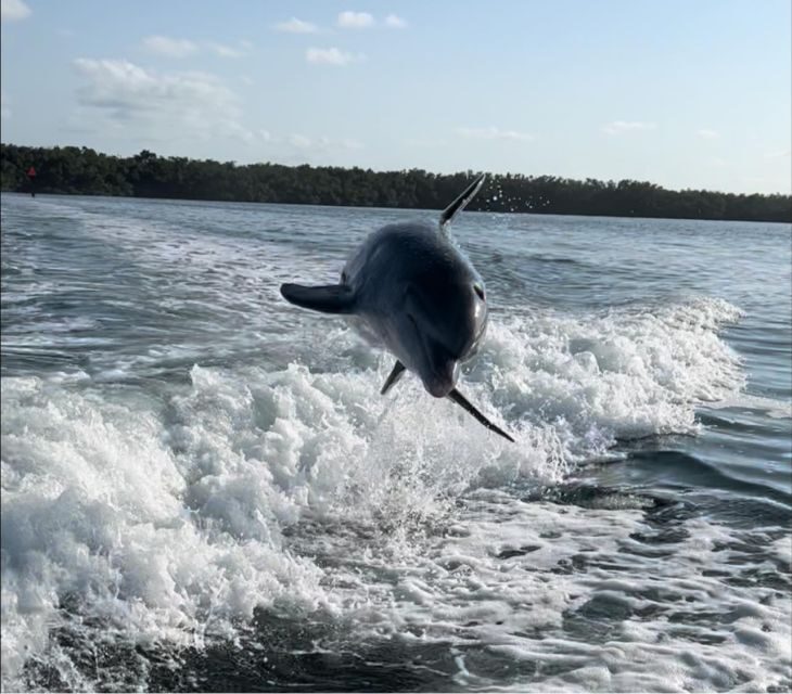 Islamorada: Private Snorkel & Sandbar Adventure - Practical Details and Tips