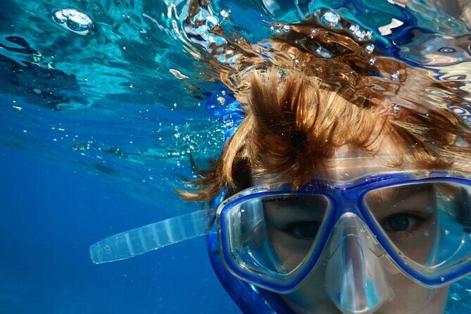 Islamorada: Snorkel adventure & Sandbar Trip - What Travelers Love (and What to Watch For)