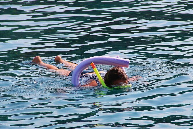 Islamorada: Snorkel adventure & Sandbar Trip - Who Will Love This Tour?
