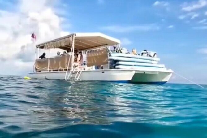 Islamorada: Snorkel adventure & Sandbar Trip - FAQ