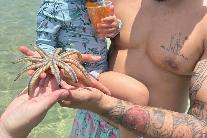 Island Adventure Miami Boat Rental to Raccoon Island Miami Tour - Tips for an Enjoyable Boat Tour Experience