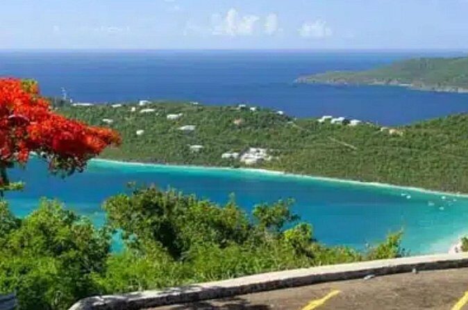 Island Buggy Excursions - Final Thoughts: Is It Right for You?