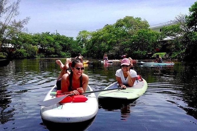 Island City ECO Paddle and Lesson to 9.3 Acre Nature Preserve - The Value of a Paddleboard Tour in Fort Lauderdale