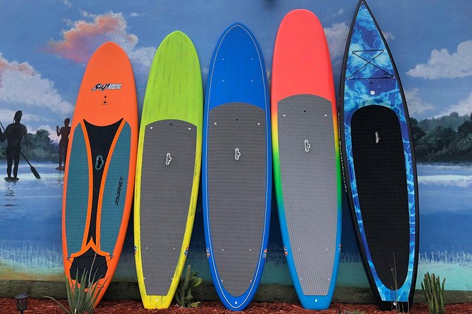 Island City ECO Paddle and Lesson to 9.3 Acre Nature Preserve - The Sum Up: Is This Tour Worth It?