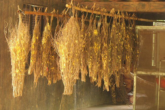 Island Community Life in Phnom Penh - FAQ