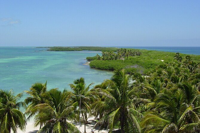 Island Contoy Adventour & Buffete & Isla Mujeres only from Cancun - Real Traveler Perspectives
