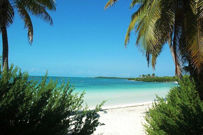 Island Contoy Adventour & Buffete & Isla Mujeres only from Cancun - The Value of This Tour