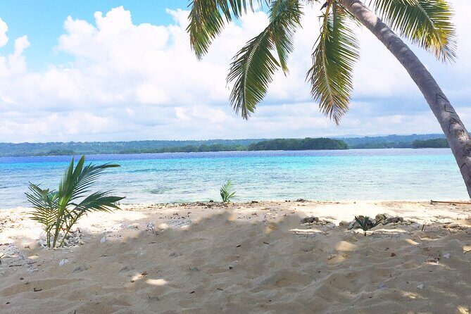 Island Day Tour Santo's Best Snorkeling Marine Sanctuary - Who Will Love This Tour?