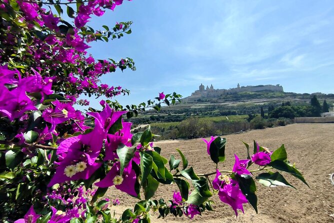 Island Day Tour with a Private Local Driver - FAQs