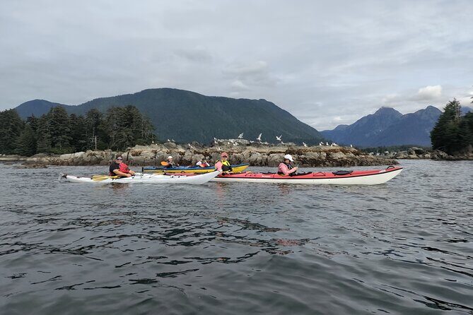 Island Discovery Kayak Paddle in Sitka, Alaska - An In-Depth Look at the Island Discovery Kayak Paddle