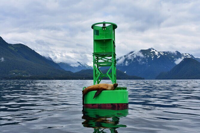 Island Discovery Kayak Paddle in Sitka, Alaska - The Sum Up