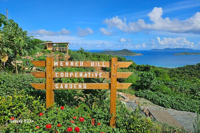 Island Eco Farm Tour with Local Treats and Sapphire Beach Time - Key Points