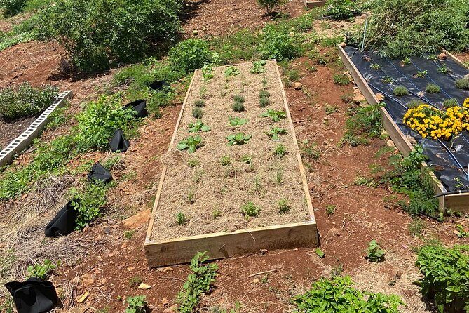 Island Eco Farm Tour with Local Treats and Sapphire Beach Time - Final Thoughts