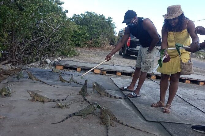 Island Experience Of St Maarten St Martin - FAQs