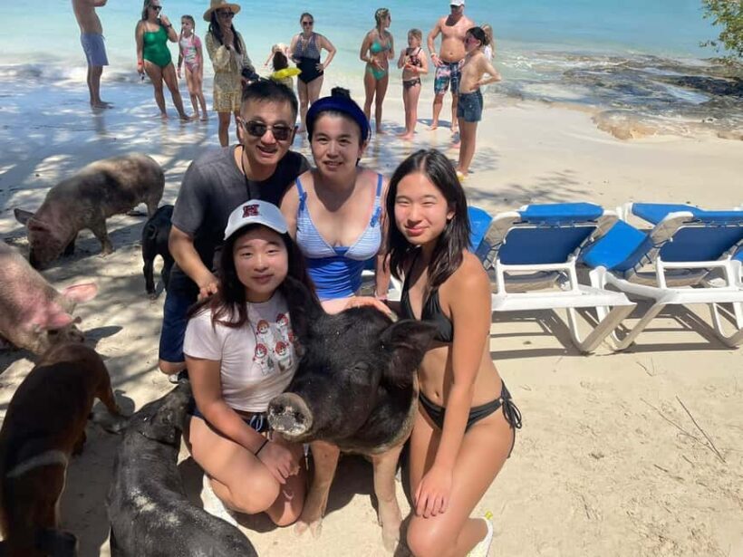 Island Hopping, Swimming w/ Turtles & Unlimited Bahamas Mama - The Experience in Detail