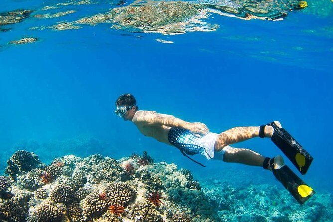 Island Hopping Tour (2 Island) From Kota Kinabalu - Transportation and Timing