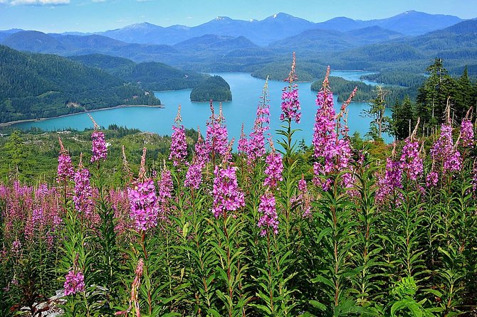 Island Hummer Tour - Recommendations for Tour Participants