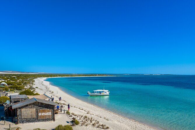 Island Life Adventures | A Day at Dirk - Introduction: Who This Tour Is For