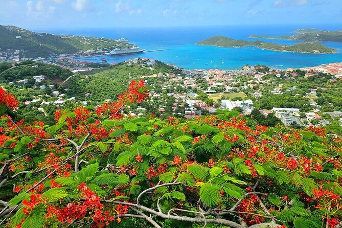 Island Life Jeep Tours - Your Day Your Way Private Excursion! - The Sum Up