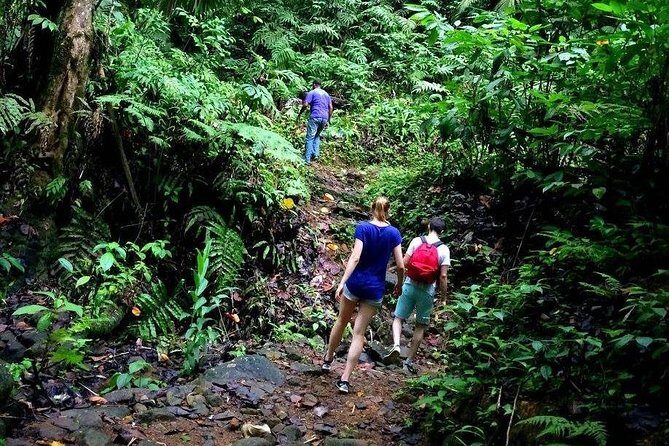 Island Life Tour - Additional Information