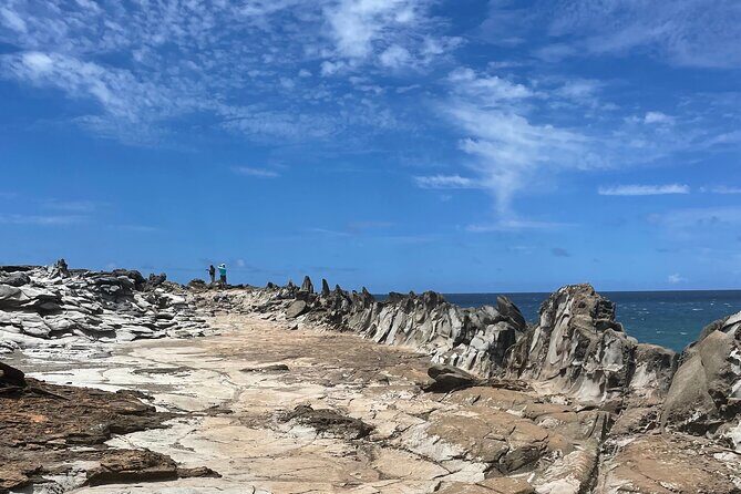 Island of Maui Customized Half Day Tour - Discover the Charm of Maui on a Custom Half-Day Tour