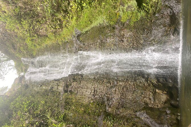 Island of Maui Customized Half Day Tour - The Itinerary Breakdown: What to Expect