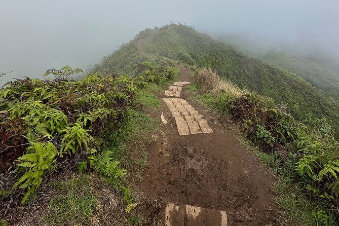 Island of Maui Customized Half Day Tour - Who Should Consider This Tour?