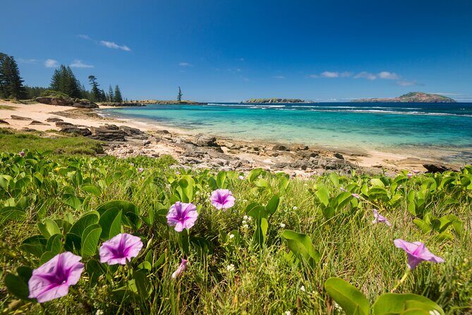 Island Orientation Package incl. Return Airport Transfers & Tour - FAQ