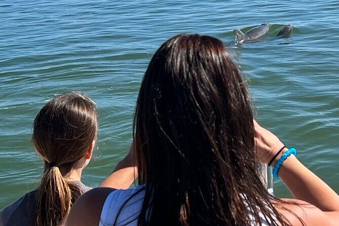 Island Paradise: Dolphin, Shelling, Birding Eco Boat Tour - The Sum Up