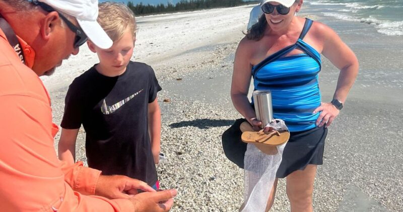 Island Paradise: Dolphin, Shelling, Birding Eco Boat Tour - Practical Details: What You Need to Know