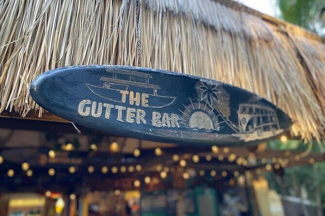 Island Pub Crawl with Lunch and High Speed Boat Tour in Brisbane - Who Is This Tour Best For?