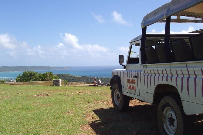 Island Safari Discovery - Authentic Experiences and Guest Feedback