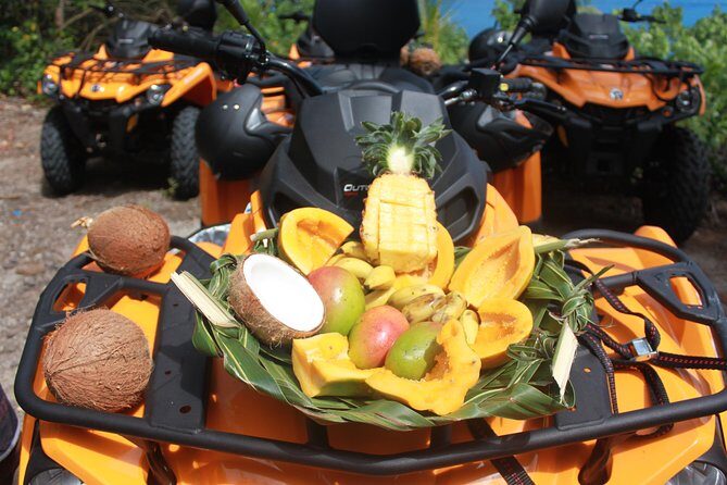 Island Tour & Getaway on the Bora Bora Mountains by Quad / ATV - Who Should Consider This Tour?
