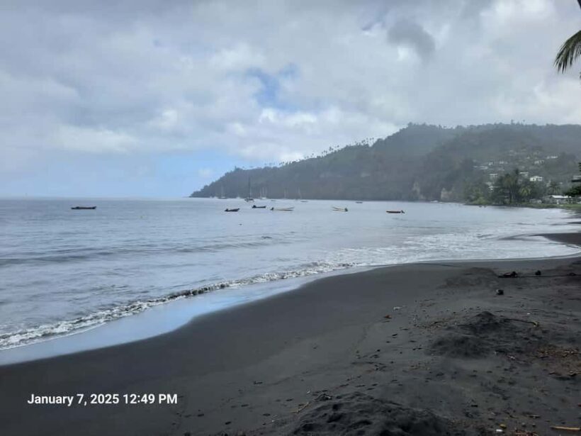 Island Tours: St. Vincent & the Grenadines - Dark View Falls - Botanical Gardens in Kingstown: A Living Sanctuary