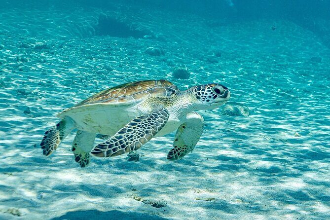 Island Treasures: Caves, Turtles and Turquoise Beach Break - Transportation and Group Size