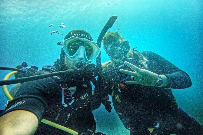 Island Wreck and Reef Scuba Excursion - Who Will Love This Tour?