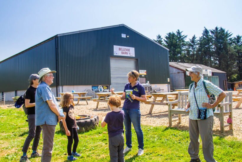 Isle of Arran: Exclusive Private Farm Tour with the Farmer - What to Expect: A Typical Day
