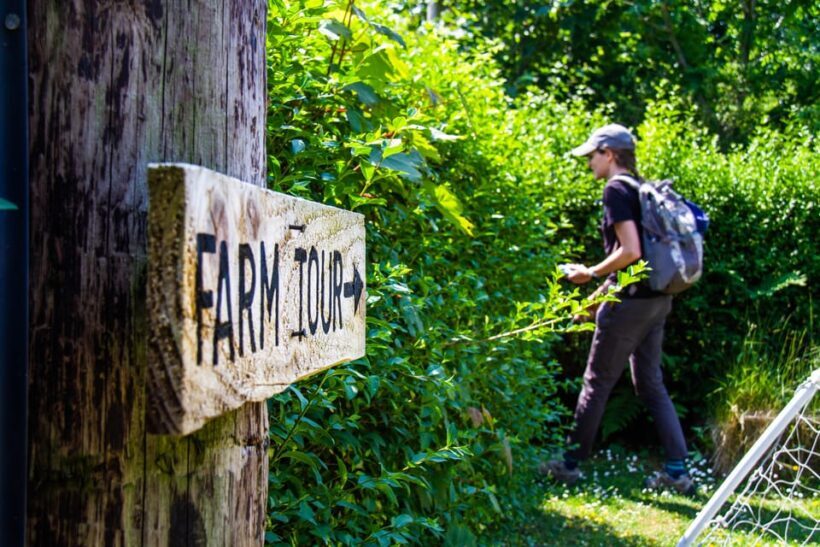 Isle of Arran: Exclusive Private Farm Tour with the Farmer - The Sum Up: Who Will Enjoy This Tour?