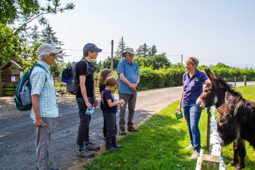 Isle of Arran: Farm Experience Entry Ticket - Key Points