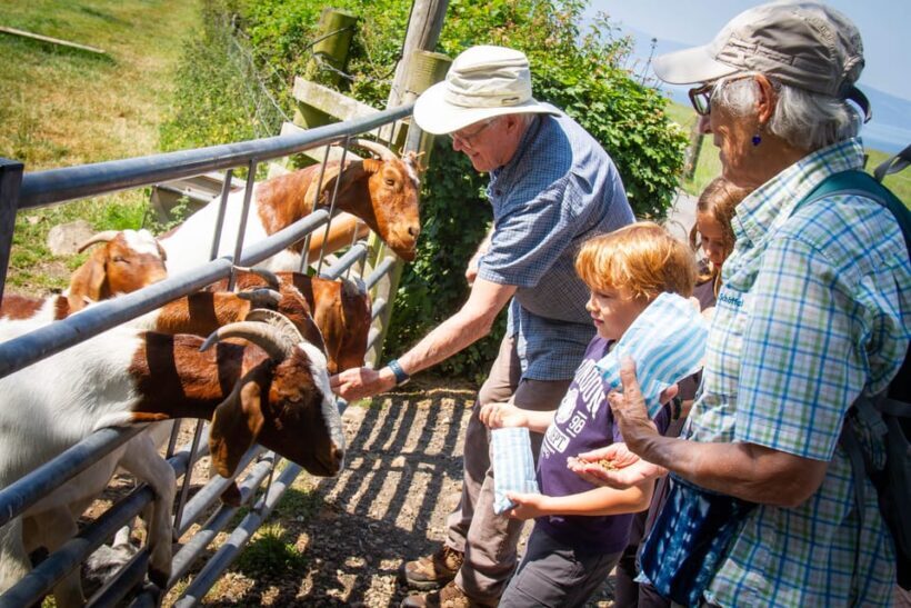 Isle of Arran: Farm Experience Entry Ticket - Why This Experience Fits Certain Travelers