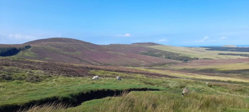 Isle of Man: Discovery Tour. A whistle stop all Island Tour. - The Sum Up